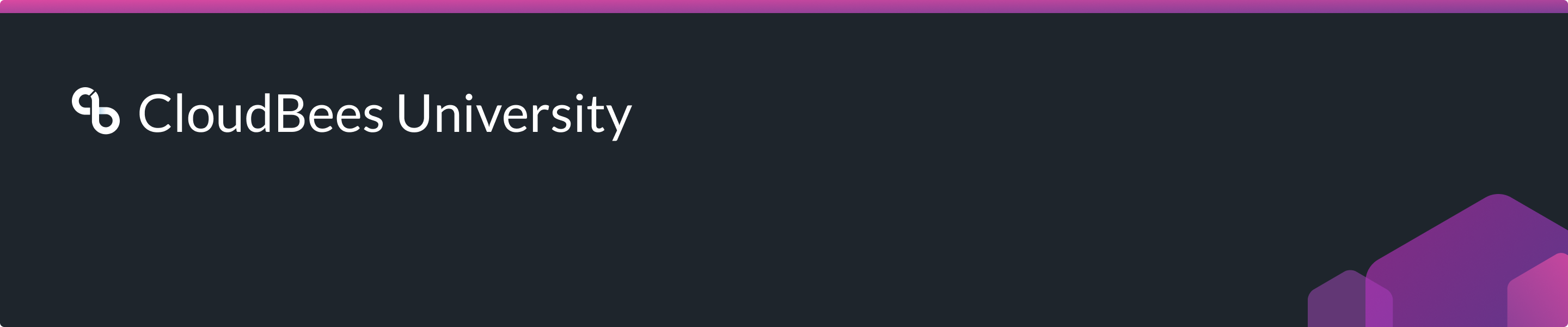 CloudBees University