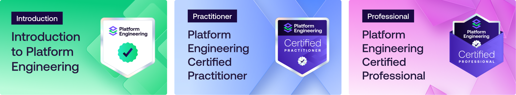 Certification Bundle: Practitioner & Professional