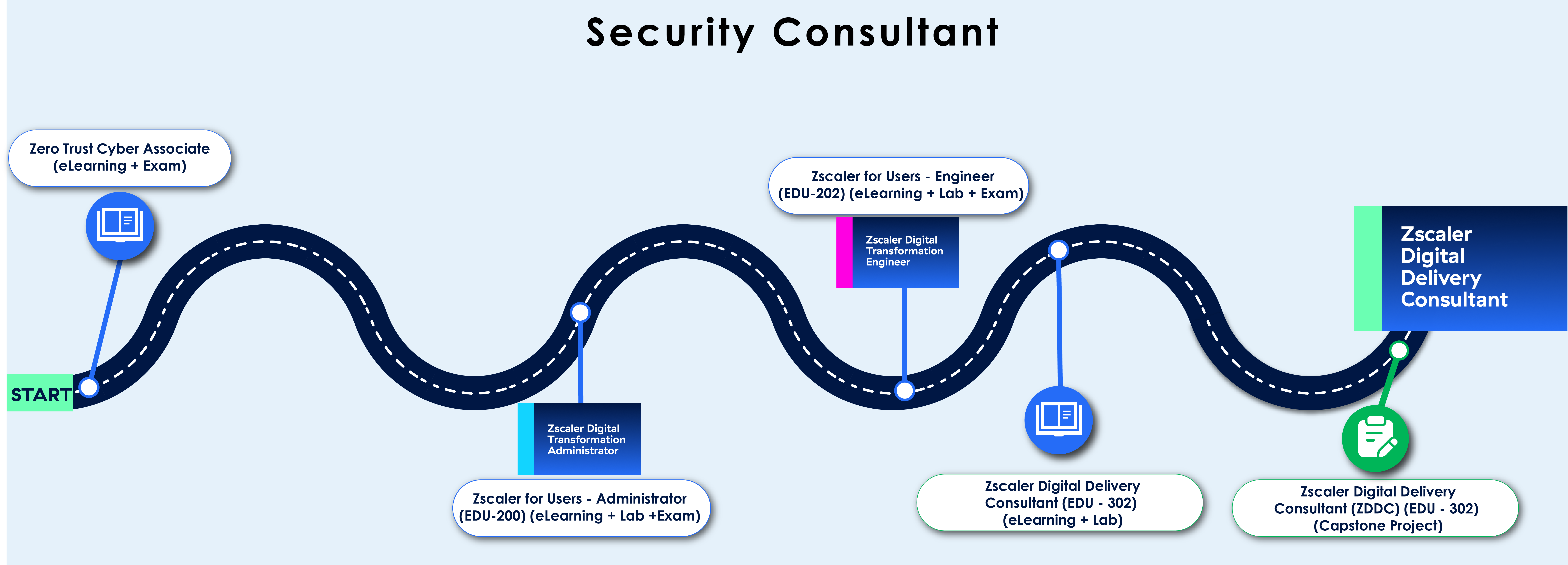 Security Consultant