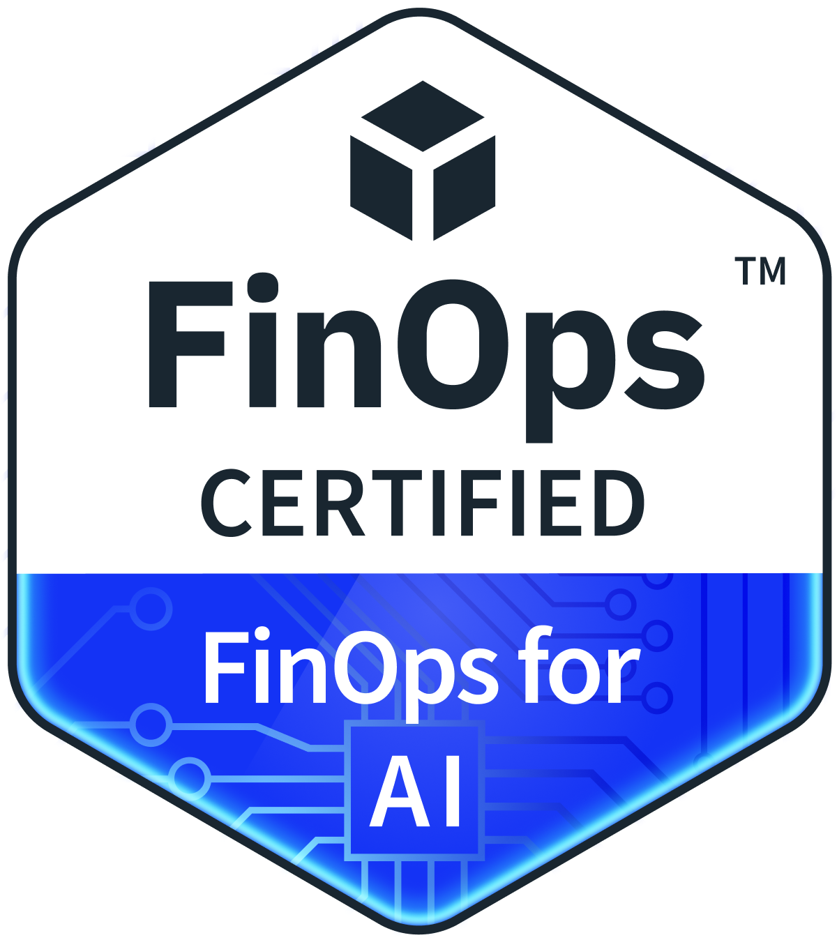 FinOps for AI