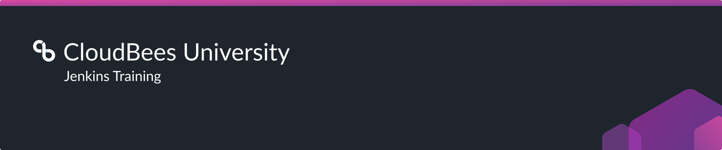 CloudBees University Jenkins Training