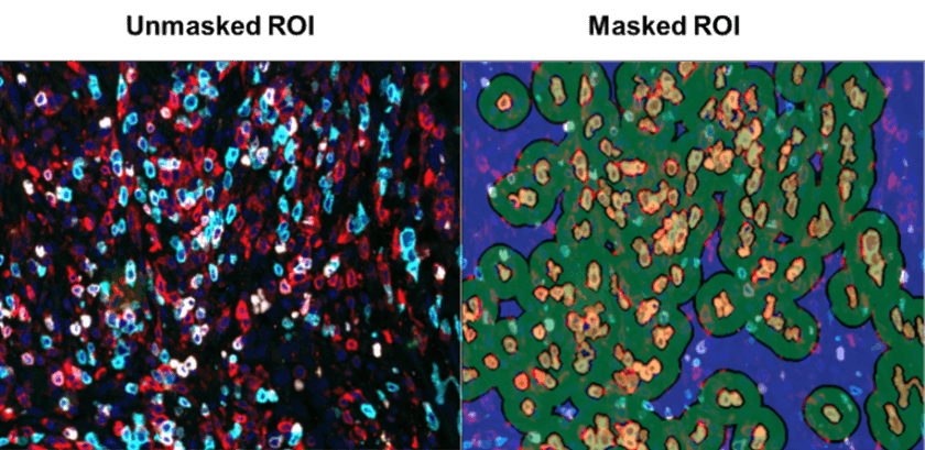 How to perform cell-type contouring using ImageJ