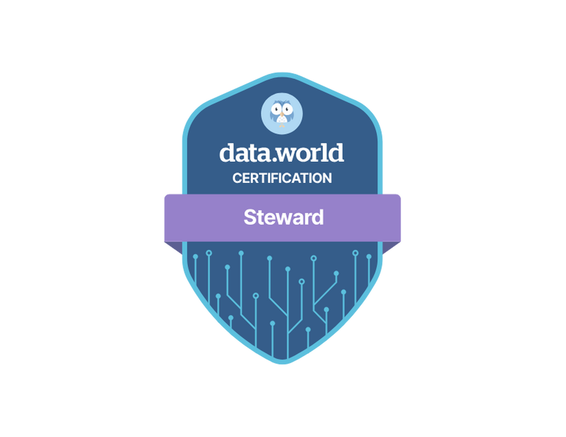 Steward: Manage & Enrich Your Data