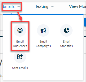 Create an Email Audience – Neon One
