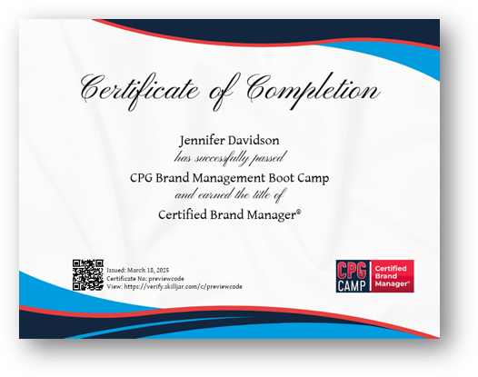 Online Brand Management Boot Camp (with Interview Playbook)