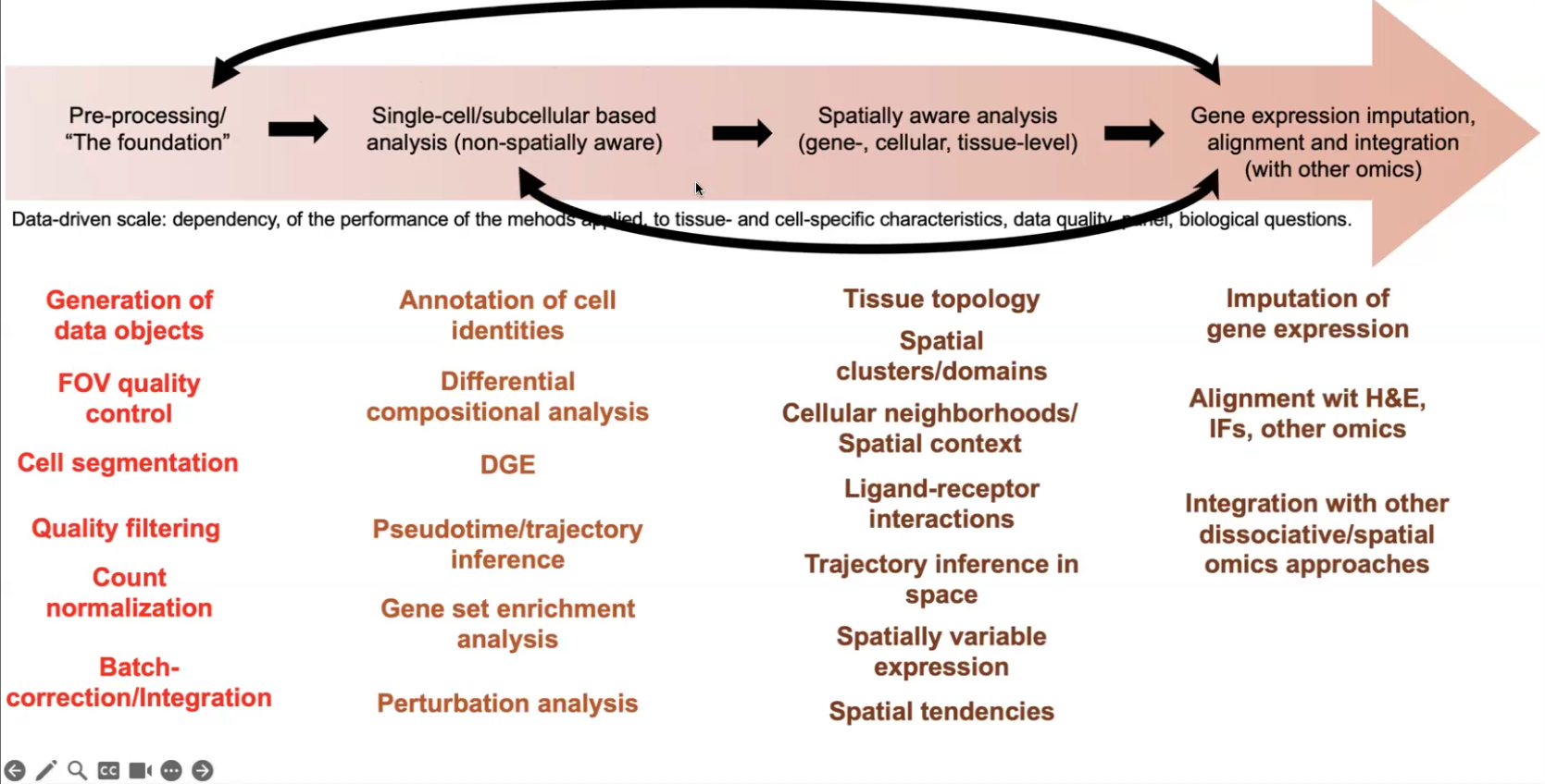 Imaging-based Spatial Transcriptomics Analysis with CosMx® SMI: a ...