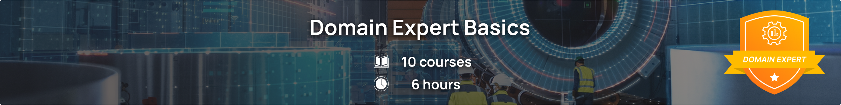 Domain Expert Basics
