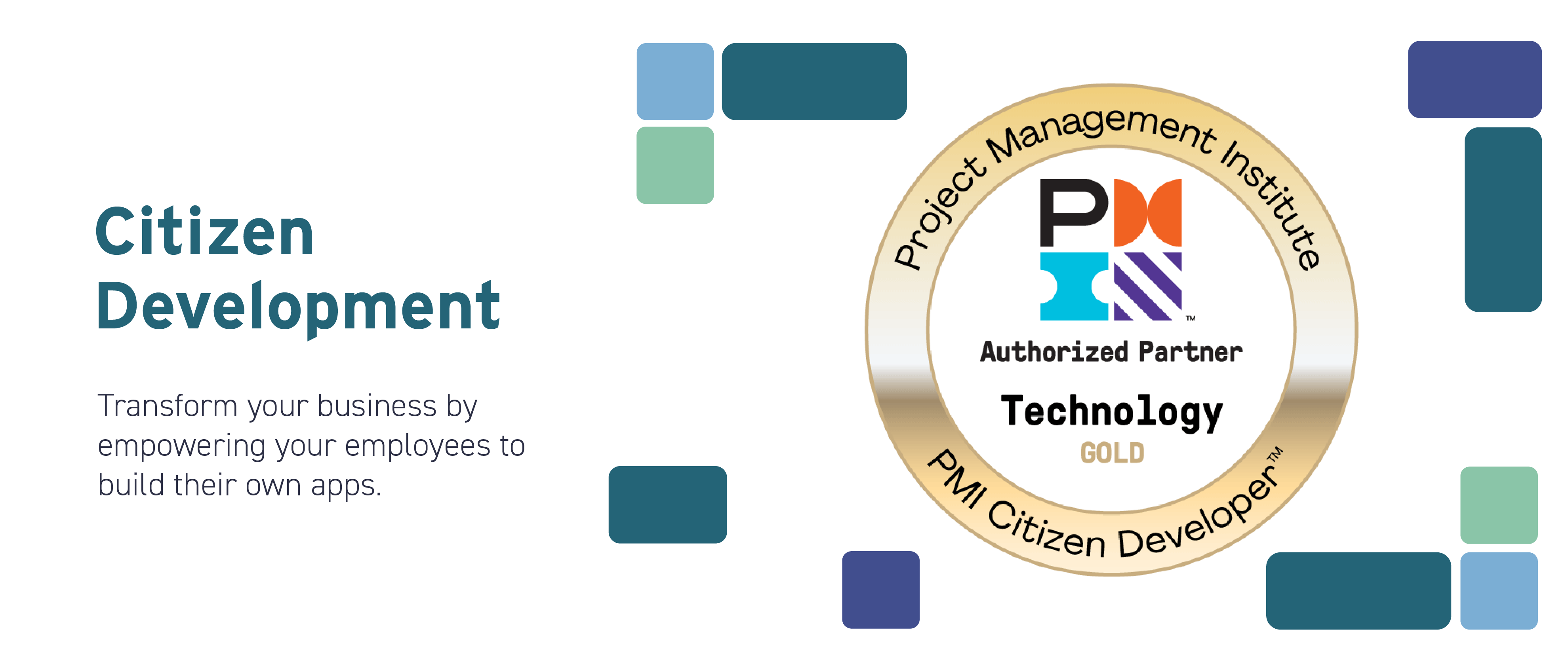 Citizen Development Training