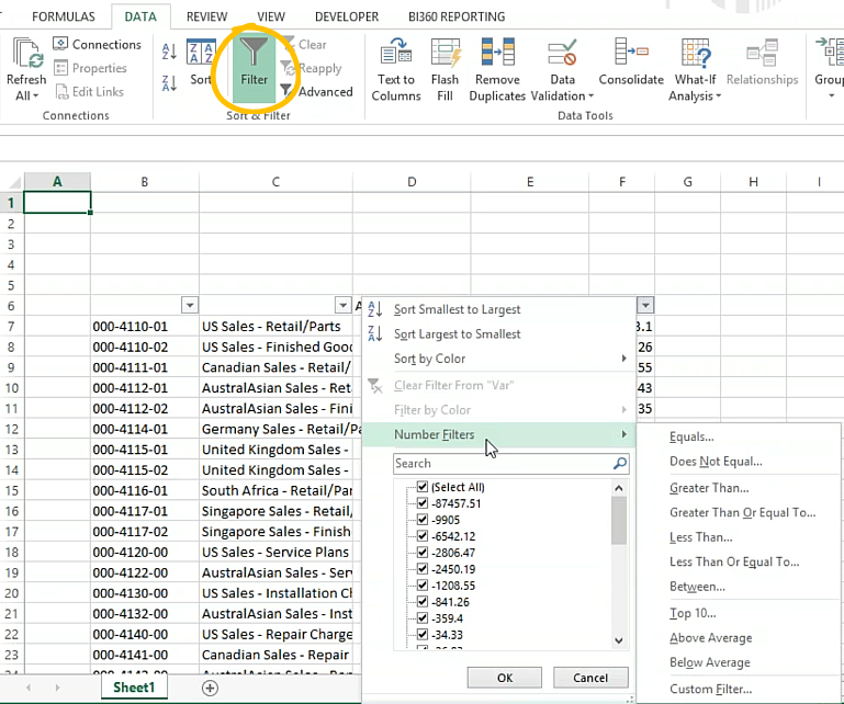 Reporting: Using Excel Filters