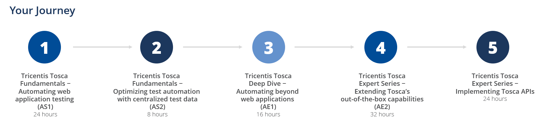 Extension Developer for Tricentis Tosca