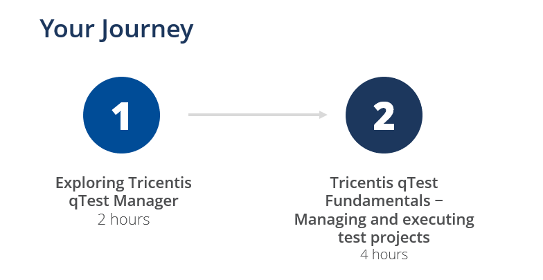 Test Analyst For Tricentis Qtest