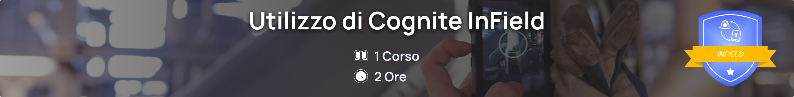 Utilizzo di Cognite InField