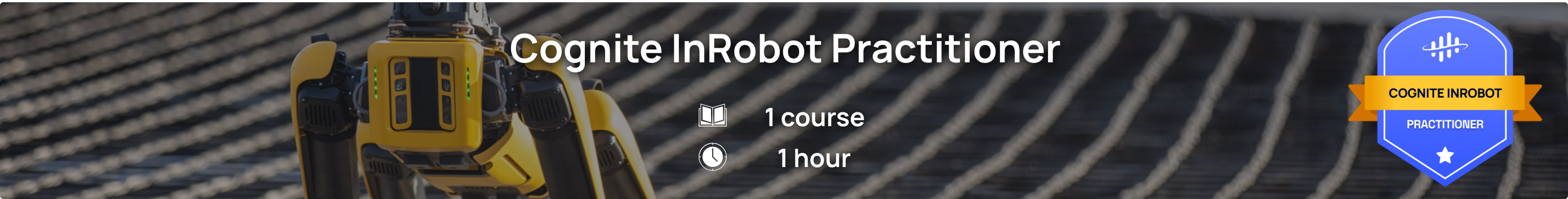 Cognite InRobot Practitioner