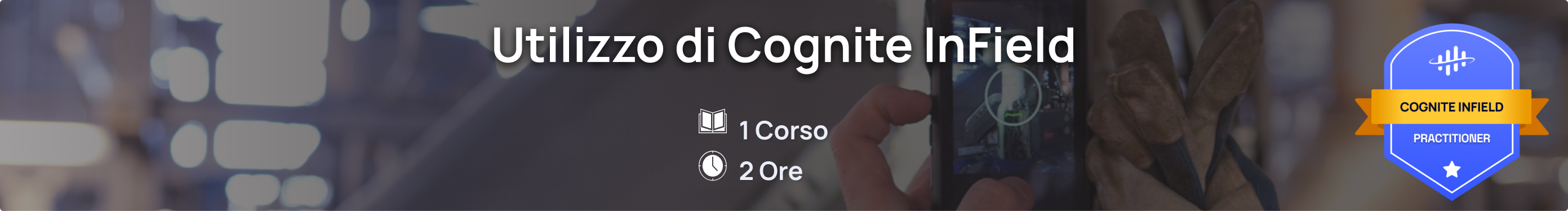 Utilizzo di Cognite InField