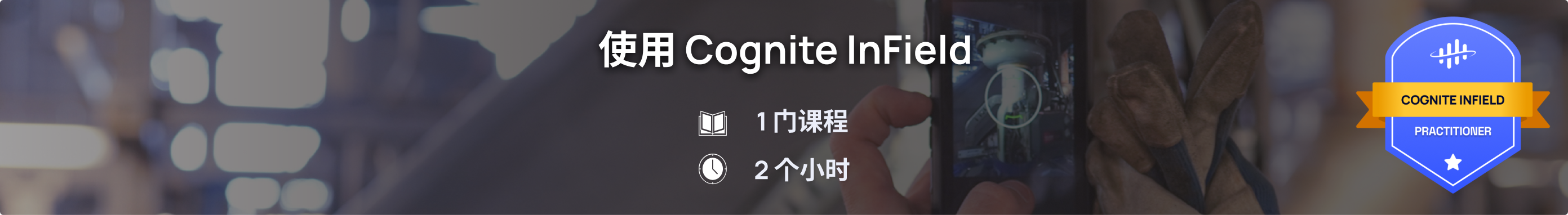 使用 Cognite InField