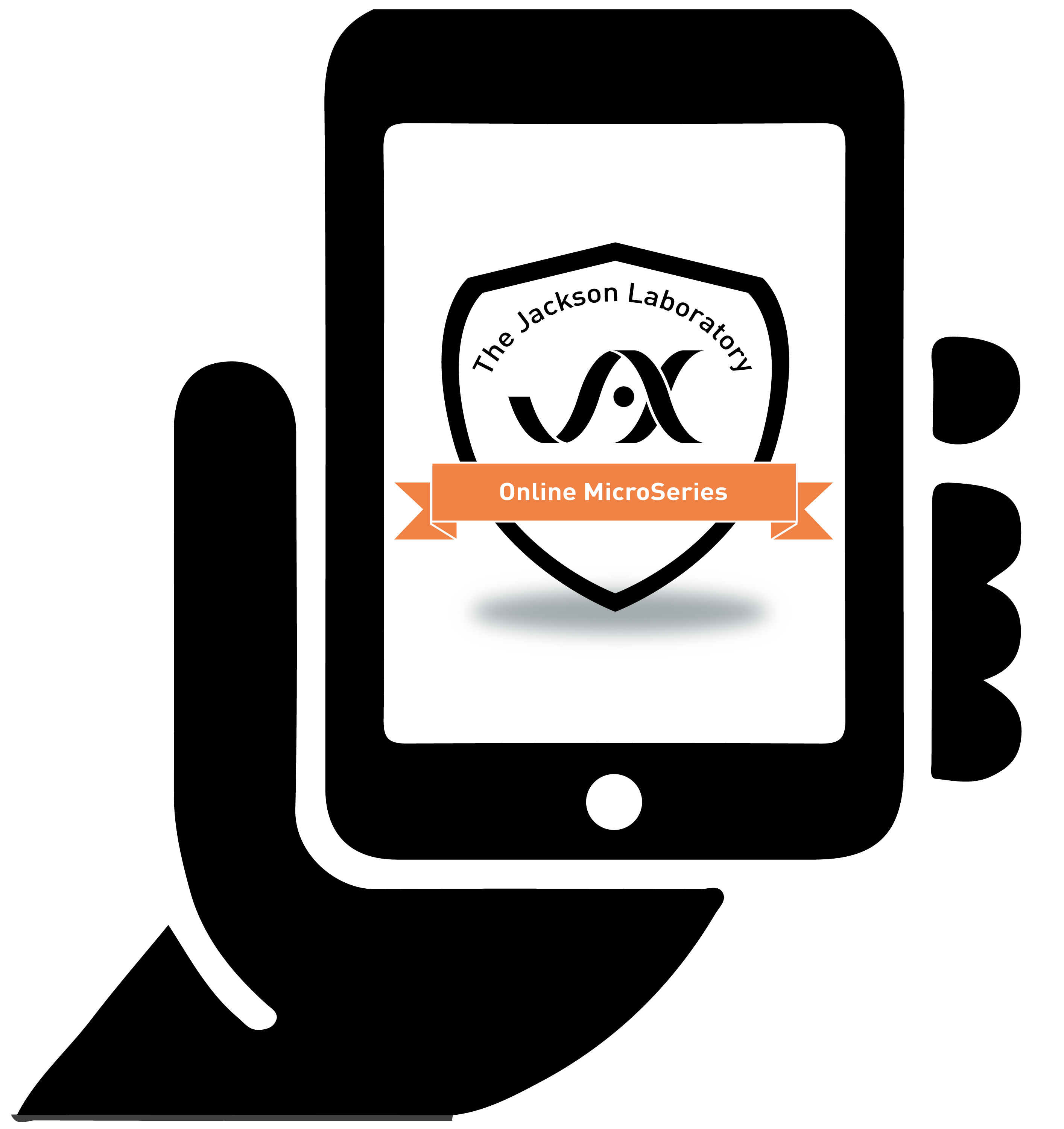 Research Mouse Models