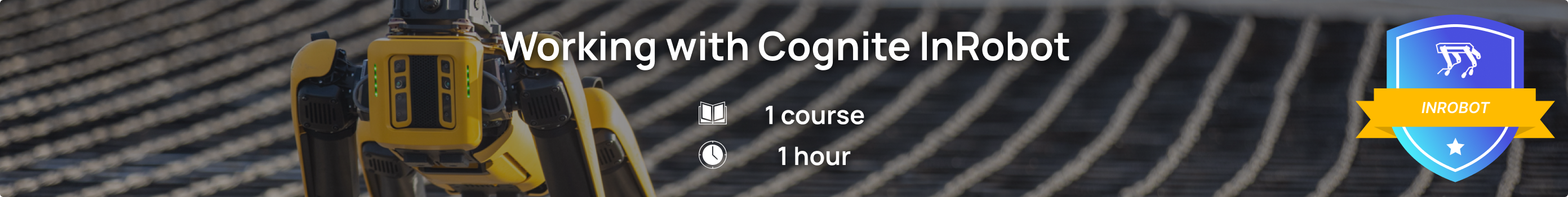 Cognite InRobot Practitioner